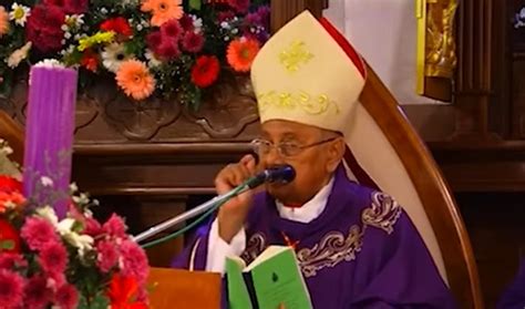 Cardinal Questions Education Ministrys Sex Ed Curriculum Newswire