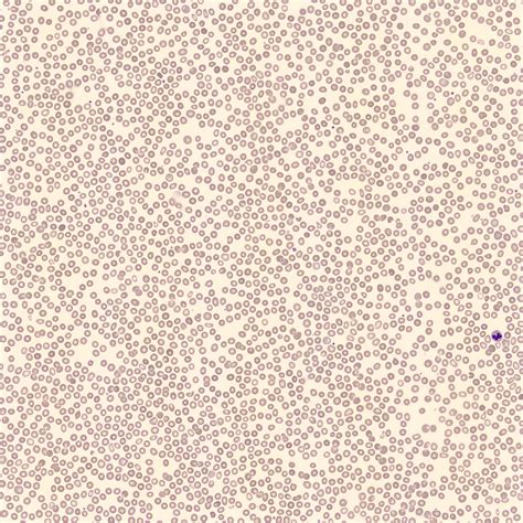 Celldiff Cellwiki