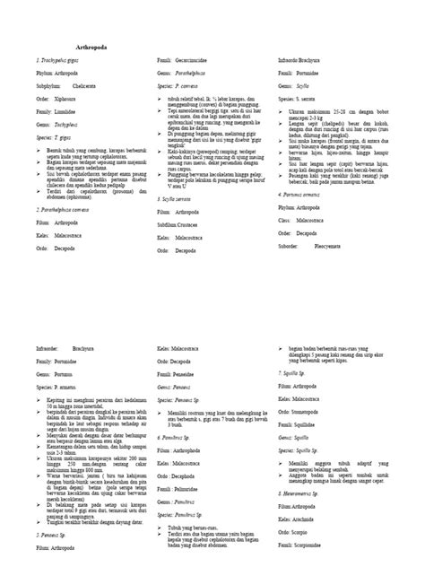 Klasifikasi Preparat Arthropoda Pdf