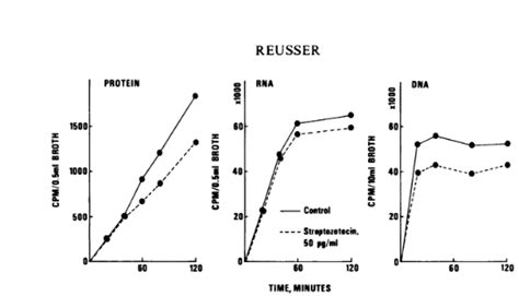 Streptozocin Blog