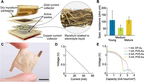 Concept For Mycelium Batteries A Explosion View Of A Mycelium