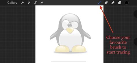 How To Trace On Procreate Tech Lounge