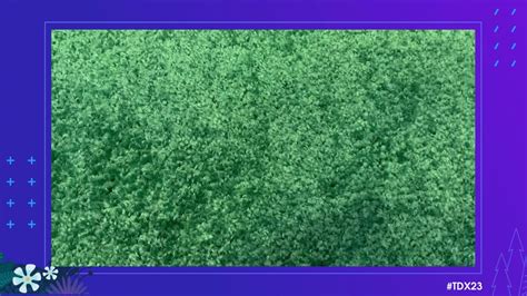 Trailhead On Linkedin Tdx23