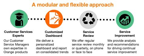 Service Optimize Orange Business Services