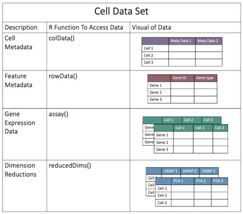 Setup And Monocle3 Objects Tufts Tts Research Technology Bioinformatics Workshops