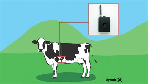 Iot Solutions For Livestock Farming