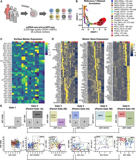 A Single Cell Framework Identifies Functionally And Molecularly