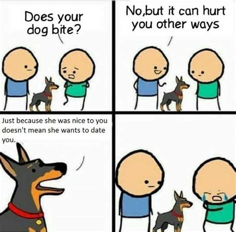 These Nice Guy Memes Are Going All The Way To The Friendzone Pics