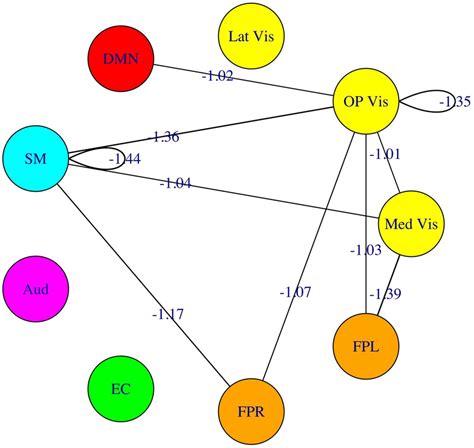 Multivariate Pattern Analysis Results The Most Heavily Weighted
