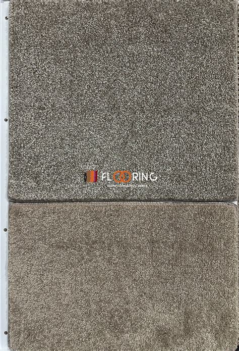 5e452 Loop De Loop Carpet Shaw Floors Kaplan Flooring London Supplier And Installer