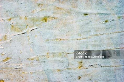 빈 흰색 오래 찢어진 찢어진 종이 구겨진 된 포스터 그런 지 질감 배경 배경 표면 플 라 카드 잘려지거나 찢어진 종이에 대한 스톡 사진 및 기타 이미지 Istock