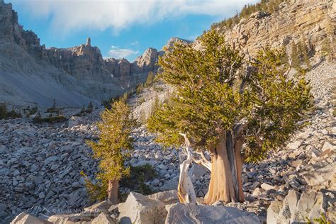 Photographing Great Basin National Park Alan Majchrowicz Photography