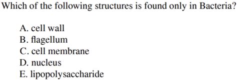 E1 Mcq Flashcards Quizlet