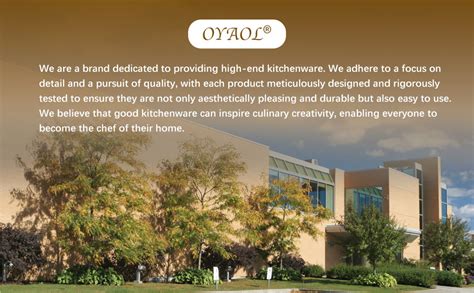 Oyaol 9 Inch Springform Pan Nonstick 304 Stainless Steel