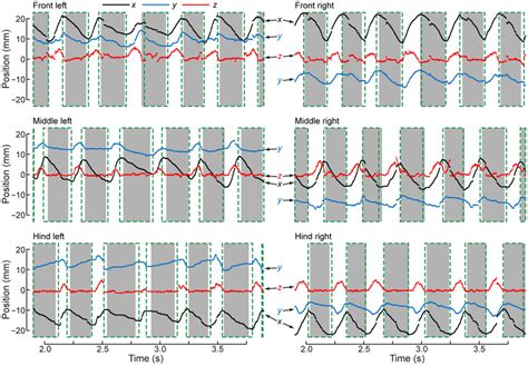 Calculation Of Stride Timing A Enlarged View Of A Portion Of The Download Scientific Diagram
