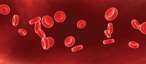 Iron Deficiency Diagnosis And Comprehensive Management Strategies