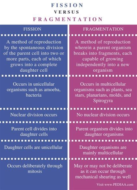 Difference Between Fission And Fragmentation Pediaacom Algorithm