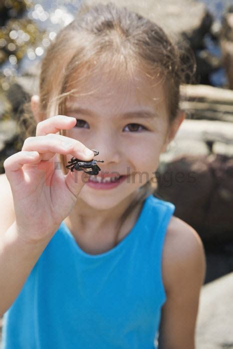 © Asian Girl Holding Tiny Crab Stock Image Tetra Images