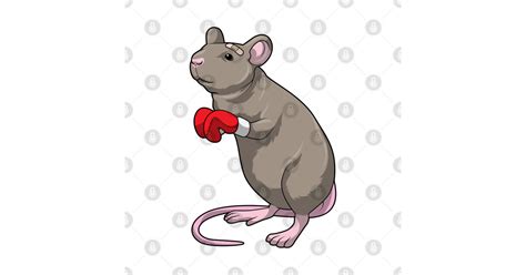 Mouse At Boxing With Boxing Gloves Boxer Sticker Teepublic