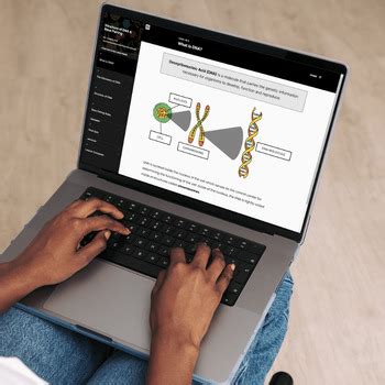 Structure Of DNA Base Pairing LMS Course SCORM File TPT