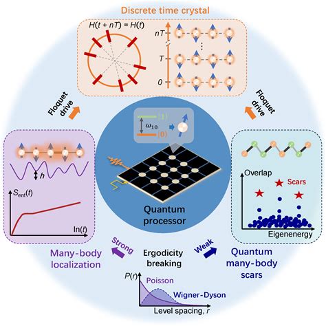 Superconducting Quantum Simulation For Many Body Physics Beyond Equilibrium