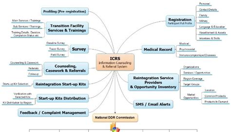 Information Counselling And Referral System Icrs For Ddr Programmes