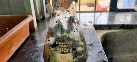 Isolation And Mass Multiplication Of Trichoderma Viride Design Innovation Center