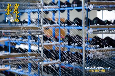 16 жилийн түүхт “Блю Скай Кашемир” нь монгол ноосны үнэ цэнийг өсгөн ээрмэл сүлжмэл нэхмэл