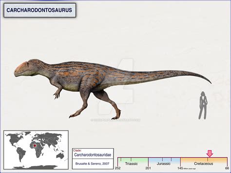 Carcharodontosaurus By Cisiopurple On Deviantart
