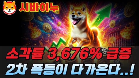 시바이누코인 소각률 3676 폭증 시바이누 2차 폭등 임박했다 Youtube