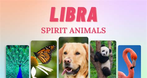 Libras Spirit Animal The Scorpio Heart For Balance And Harmony