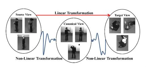 Figure 1 From Learning A Non Linear Knowledge Transfer Model For Cross View Action Recognition