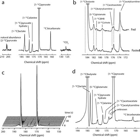 In Vivo Myocardial 13 C Spectra Acquired During Hyperpolarized Mr Download Scientific Diagram