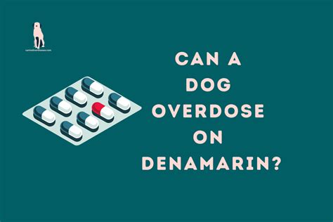 Denamarin Advanced Dosing Chart A Comprehensive Guide