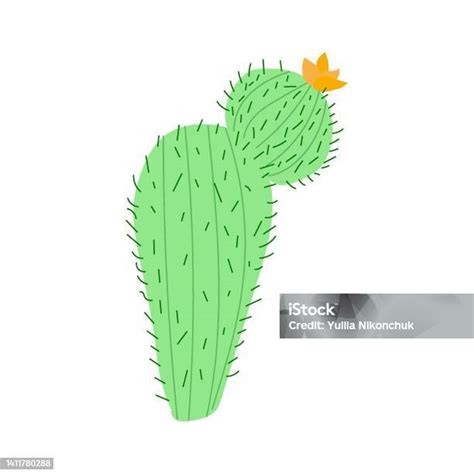 노란 꽃이있는 큰 선인장 벡터 일러스트 레이 션 멕시코 선인장 사막 식물 선인장에 대한 스톡 벡터 아트 및 기타 이미지 선인장 아이콘 가시 Istock