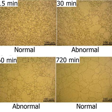 Abnormal Grain Growth In Aisi 304l Stainless Steel Request Pdf
