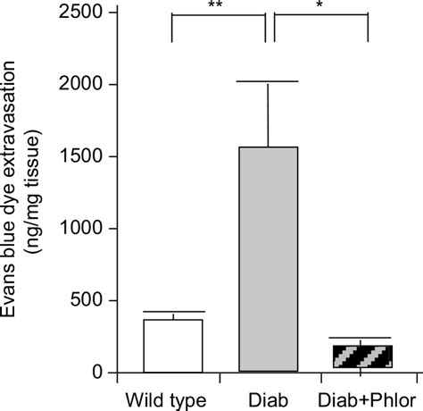 Diabetic Bladder Dysfunction Is Associated With Bladder Inflammation T Rru