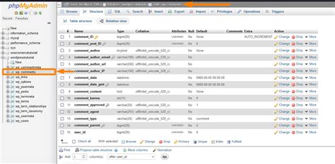 Wordpress Database Complete Guide From Novice To Expert
