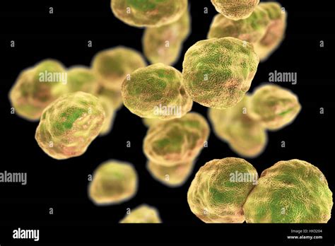 Tularemia Disease