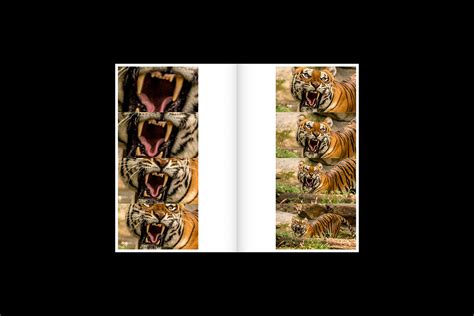 Of Catastrophic Proportions On Behance