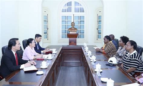 Vufo Mpumalanga To Cooperate To Promote The Role Of Vietnamese And