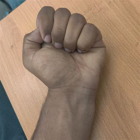 Handgestures Object Detection Model By Hand Gestures