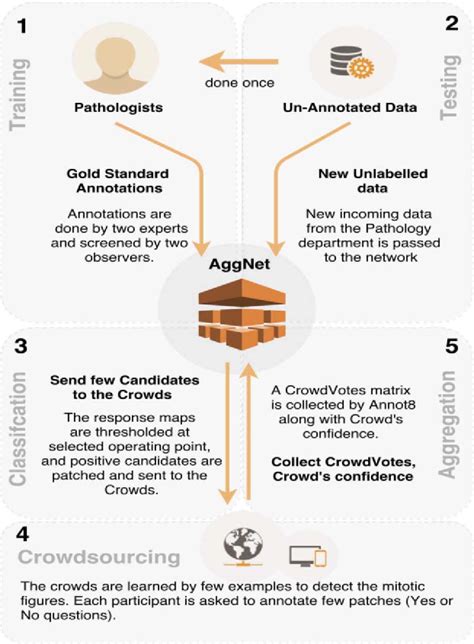 Table 1 From Deep Learning For Cancer Cell Detection And Segmentation A Survey Semantic Scholar