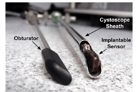 The Implanted Pressure Sensor Prototype Inside A Clinical French Download Scientific Diagram