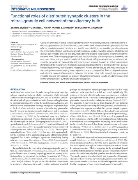 Pdf Functional Roles Of Distributed Synaptic Clusters In The Mitral