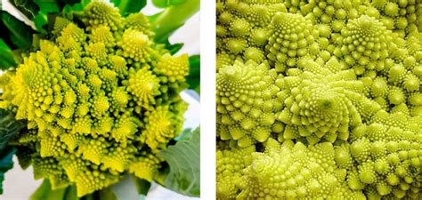 Fractals Brilliant Math And Science Wiki