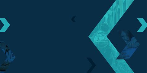 Insurance Fraud Investigation Translation Lexxika