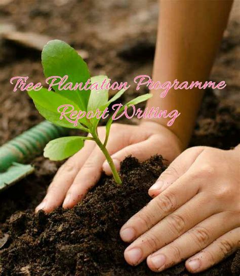 English Guitar Education