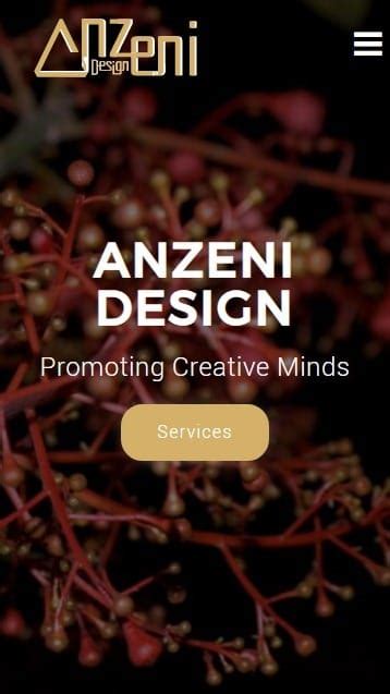 Search Engine Optimization Anzeni Design