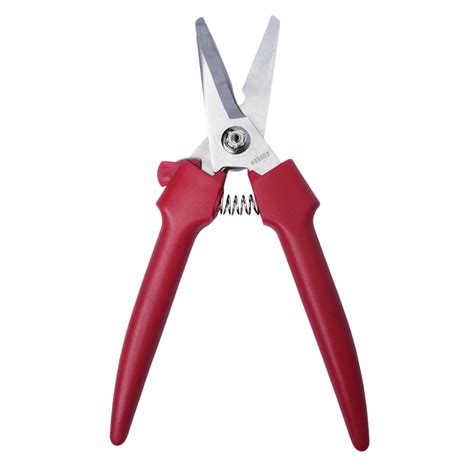 Flower Bush Stem Cutter At Randall Maupin Blog